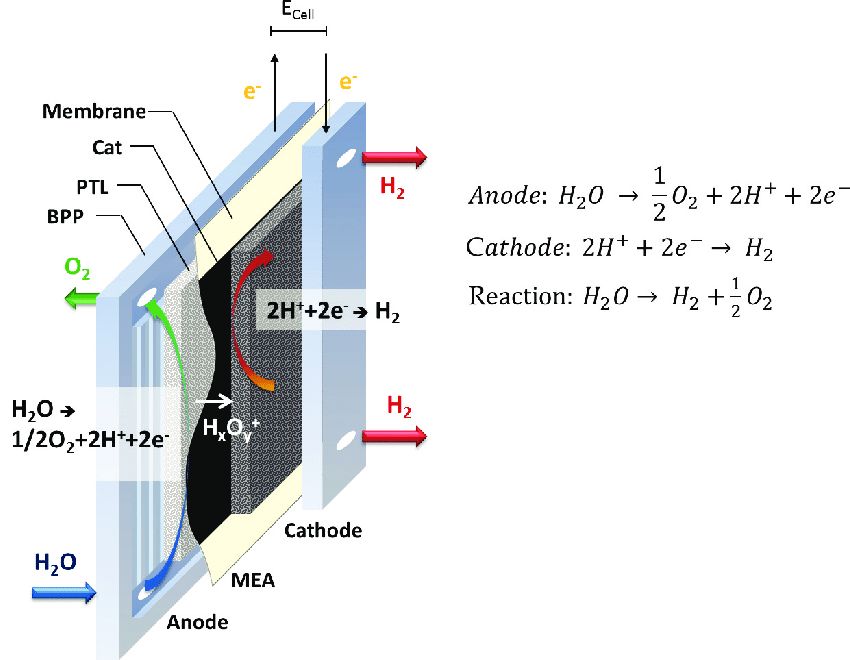 How PEM Cell Electrolyzers Work In Hydrogen Production? 5 Basic Insights